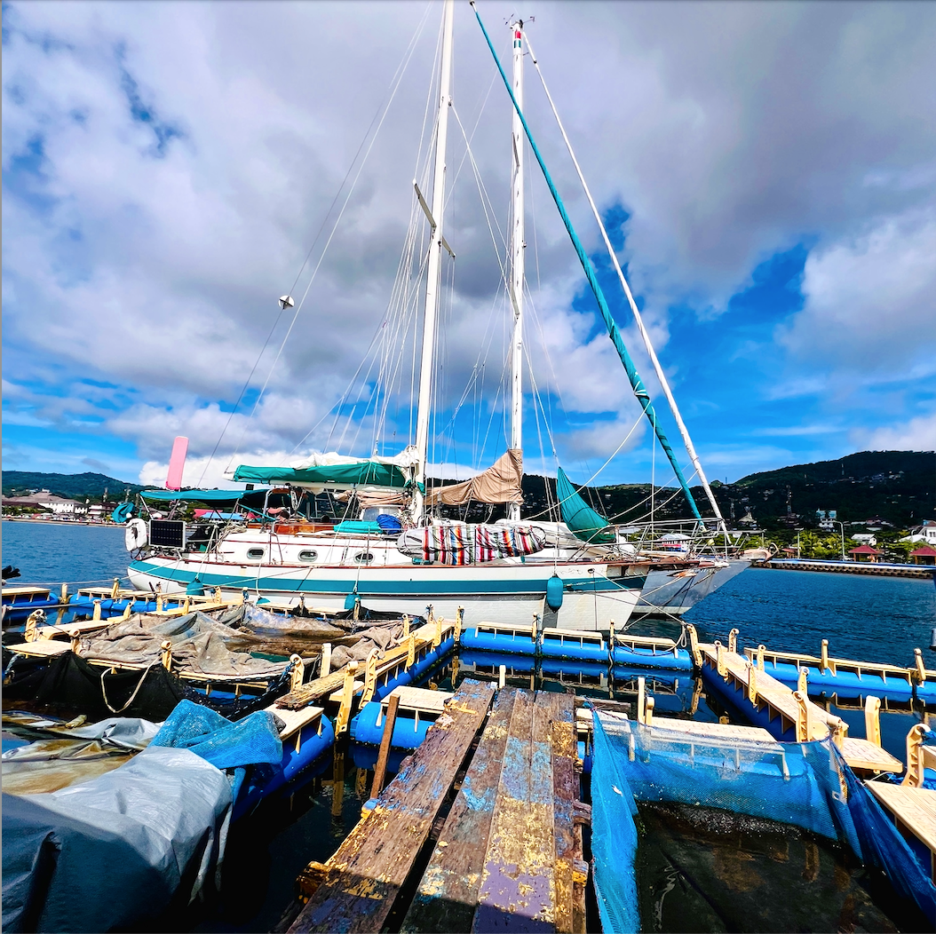 AMBON - Wilderness of Waves